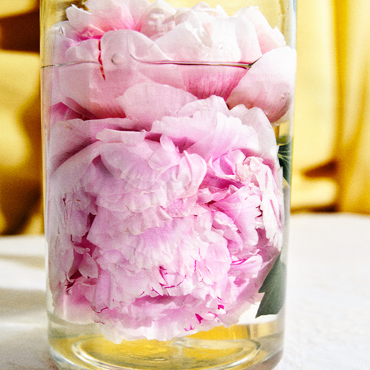 JOY WITH YOU オードパルファン | SHIROオフィシャルサイト