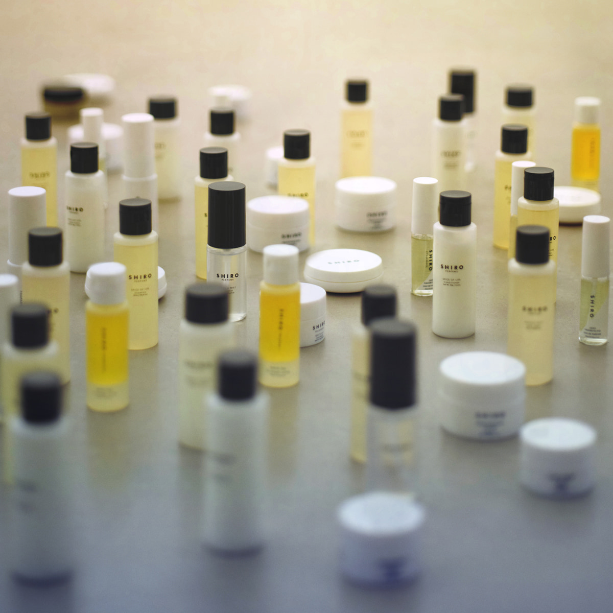 SHIRO HOLIDAY 2024 | SHIROオフィシャルサイト