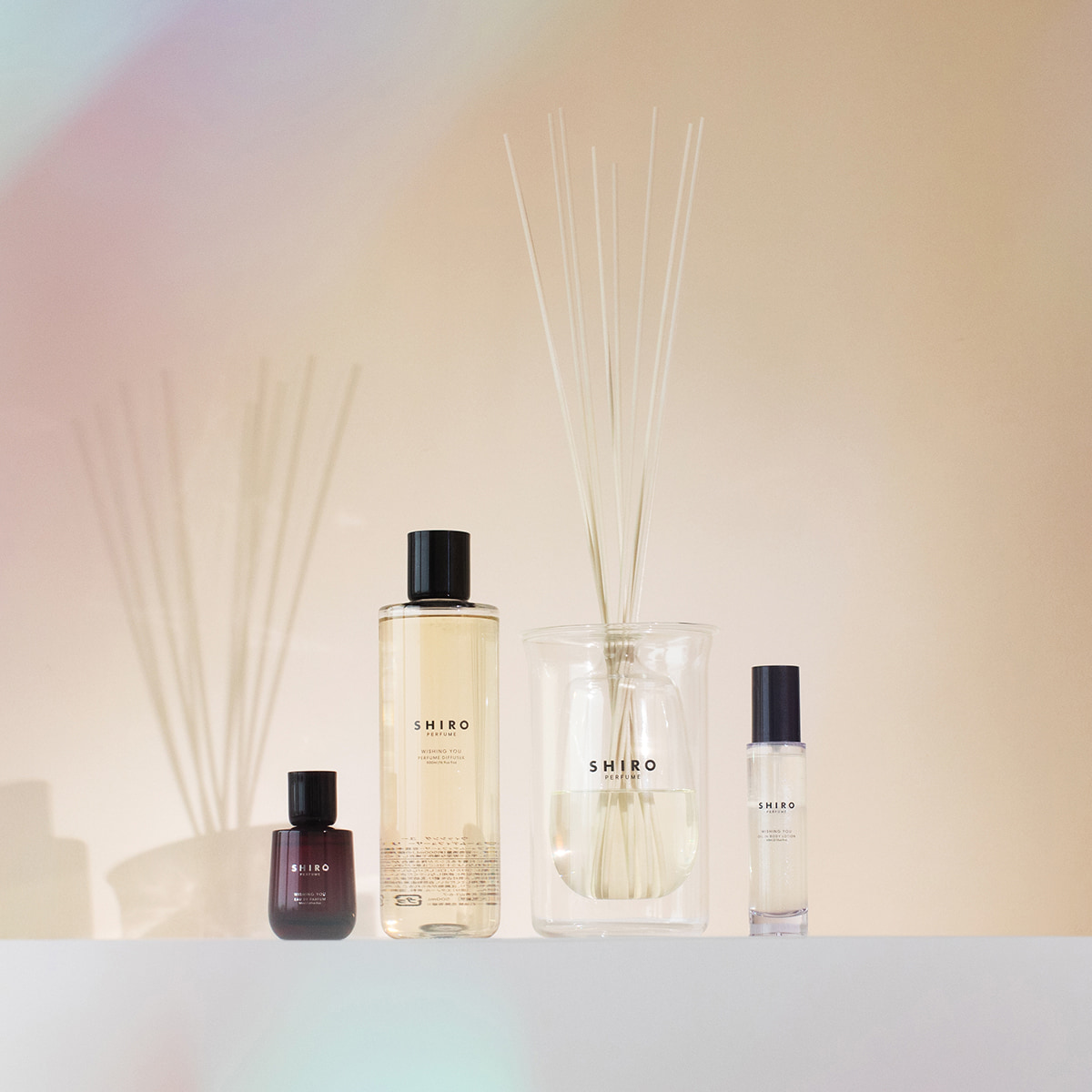 SHIRO HOLIDAY 2024 | SHIROオフィシャルサイト